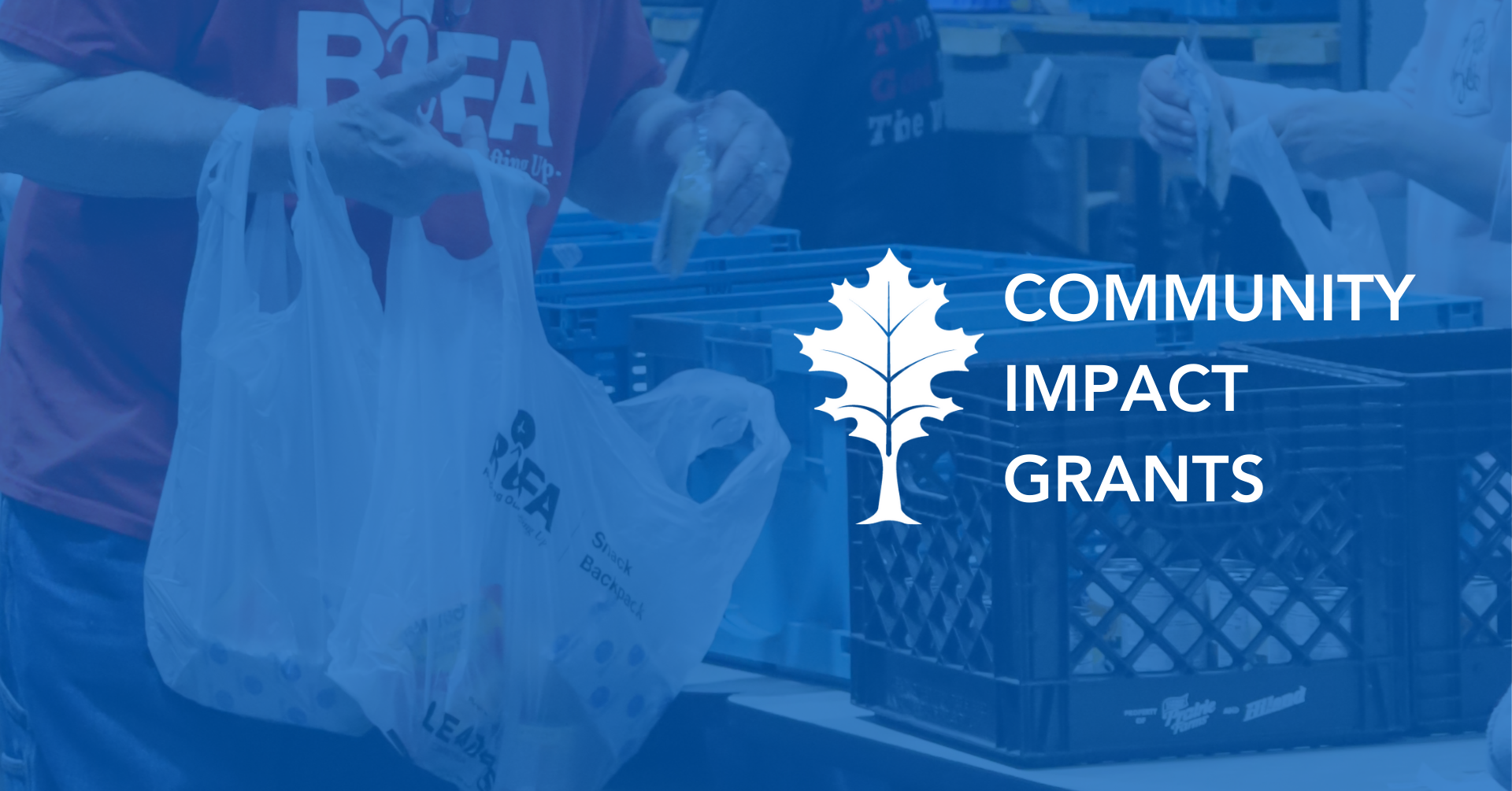 2024-2025 Community Impact Grants Now Open